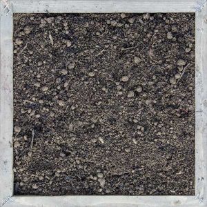 Screened Topsoil Caroline County Virginia | Quail Ridge Products